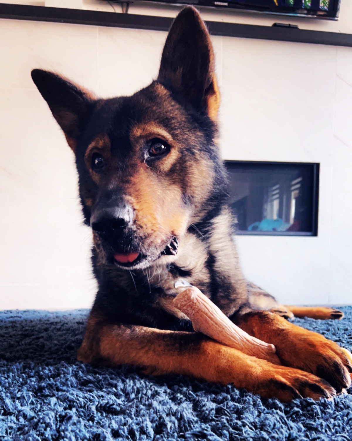 Tribute to Hooper – Ned's Wish™